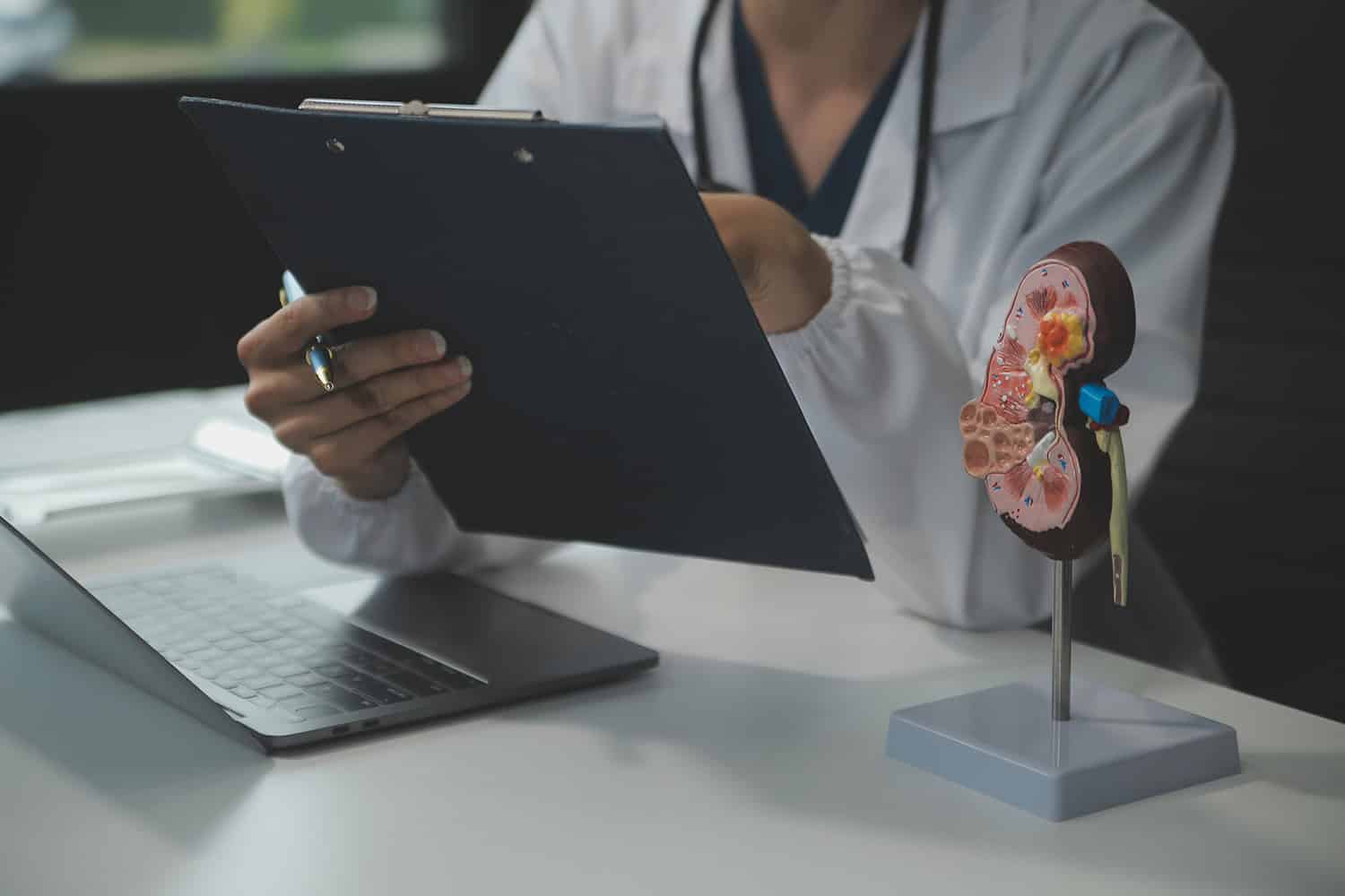 Prevenire le recidive del tumore vescicale: consigli pratici